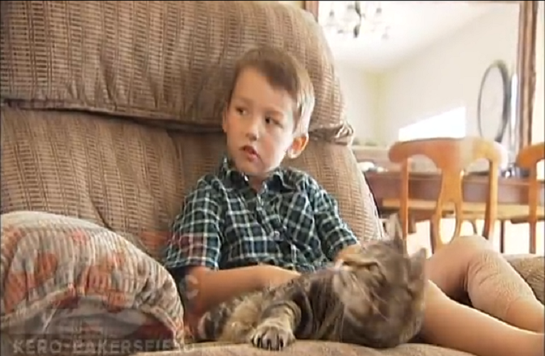 Hero Cat Saves Boy From Dog Attack; Escapes With Only a Few Stitches ...