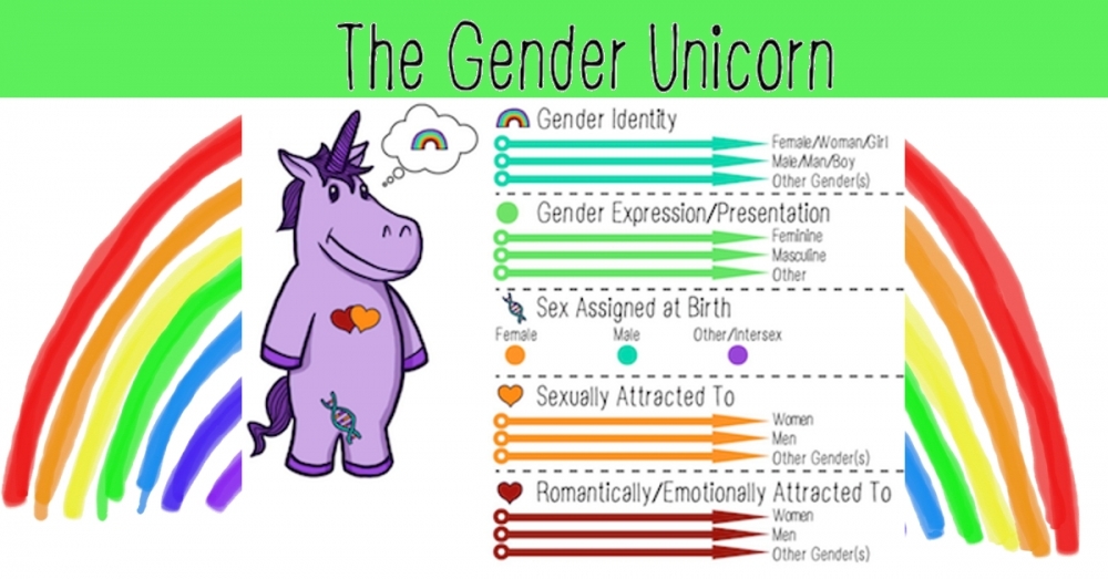 Teacher identifying as Mx., pushing 'Gender Unicorn' sign of schools ...