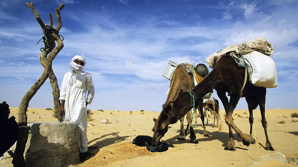 What is church-centric Bible translation? It's reaching Muslims