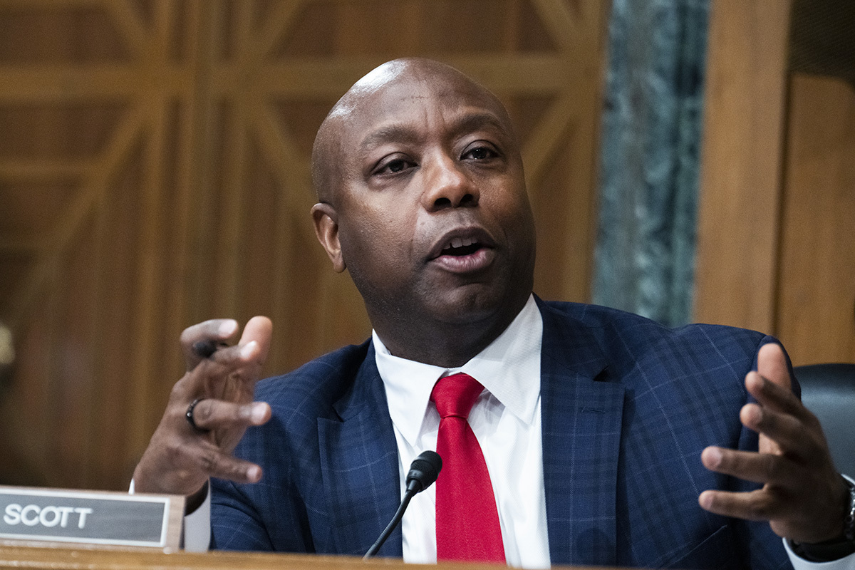 Judeo-Christian values are America's 'root system': Tim Scott | Politics